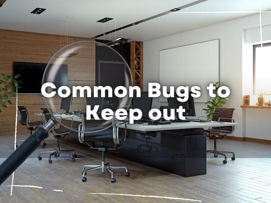 Niagara commercial pest control and removal