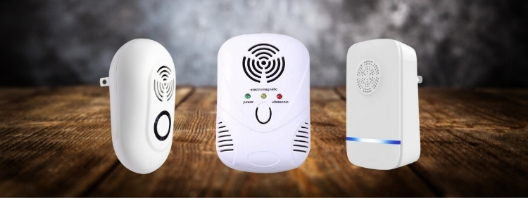 Do Ultrasonic Rodent Repellents Work?