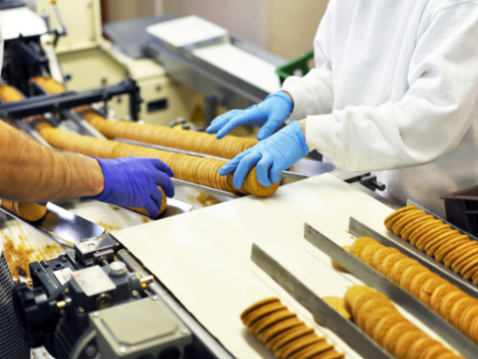 Why Is A Pest Infestation Dangerous In The Food Industry?