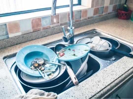 Why rodents like your kitchen.