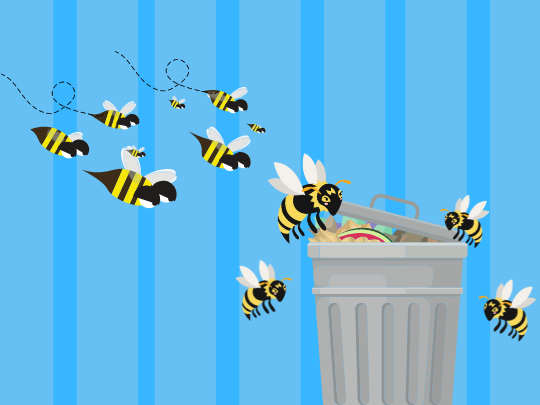 Toronto Wasp Removal: Why Yellow Jackets Like Trash