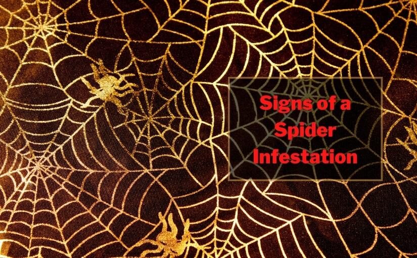 Common Insects You Encounter if Fall Season | Truly Nolen