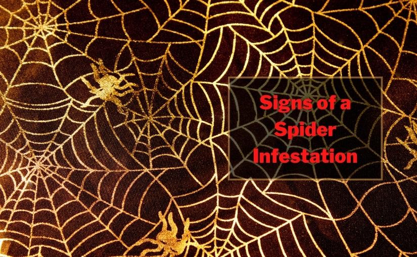 Blocking pest from coming your home | Truly Nolen Canada