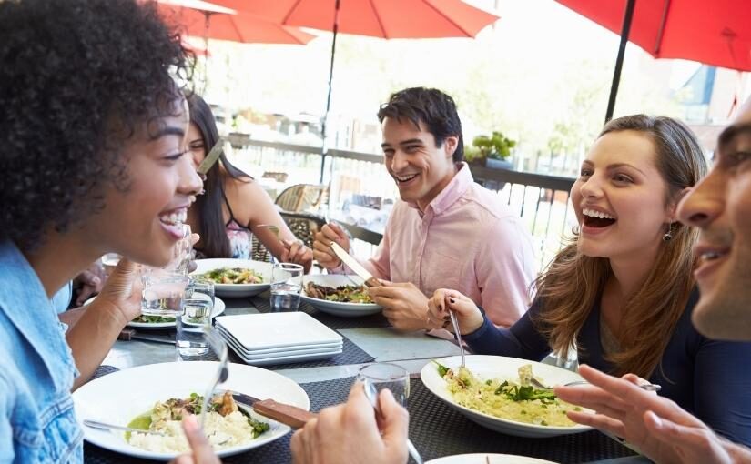 Did you Know that Rodents Cant Throw Up?