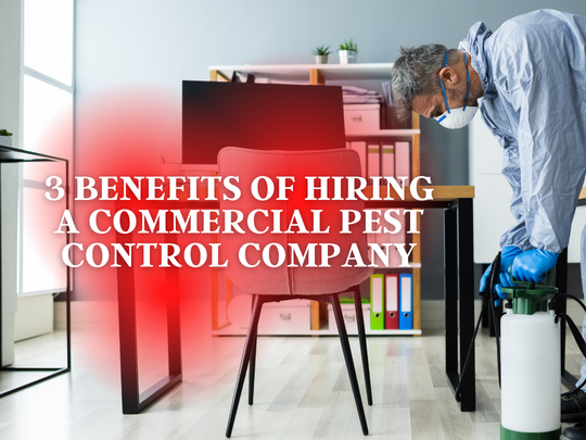 3 benefits of hiring a commercial pest control company