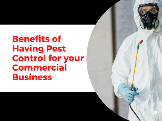 Why commercial businesses need pest control services.
