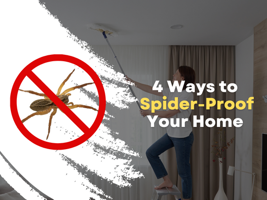 4 Ways to Spider-Proof Your Brampton Home