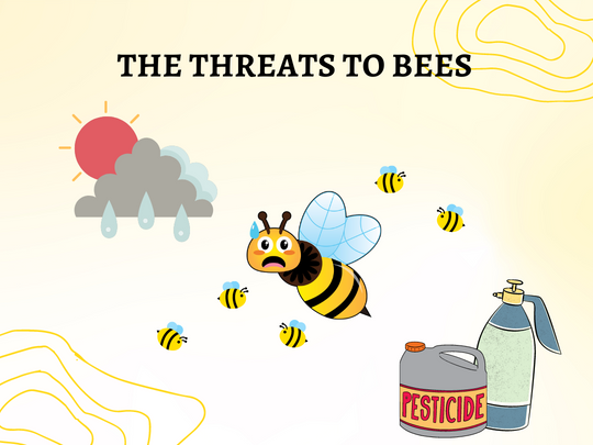 Pest Control in Guelph: The Threats to Bees