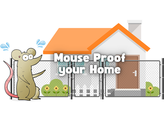How to Mouse-Proof Your Toronto Home