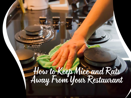 How to Keep Mice and Rats Away From Your Restaurant