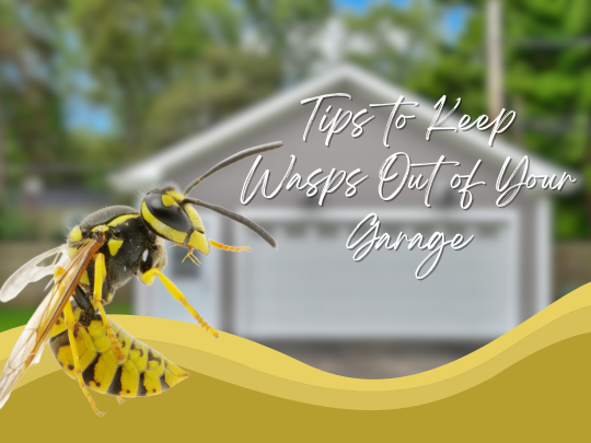 4 Tips To Keep Wasps Out of Your Garage