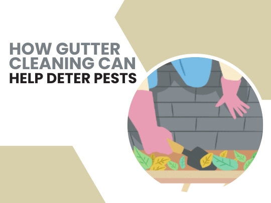 How Gutter Cleaning Can Help Deter Pests in York
