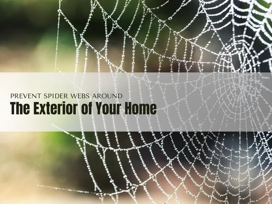 How to Prevent Spider Webs Around The Exterior of Your Home