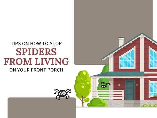 Stop spiders from living on your front porch with these tips.