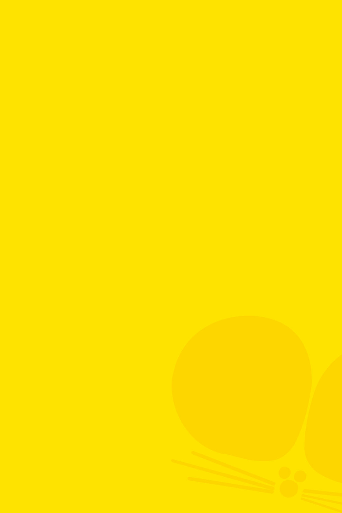 Mouse Control Fredericton, NB- Professional Rat & Mouse Exterminator ...